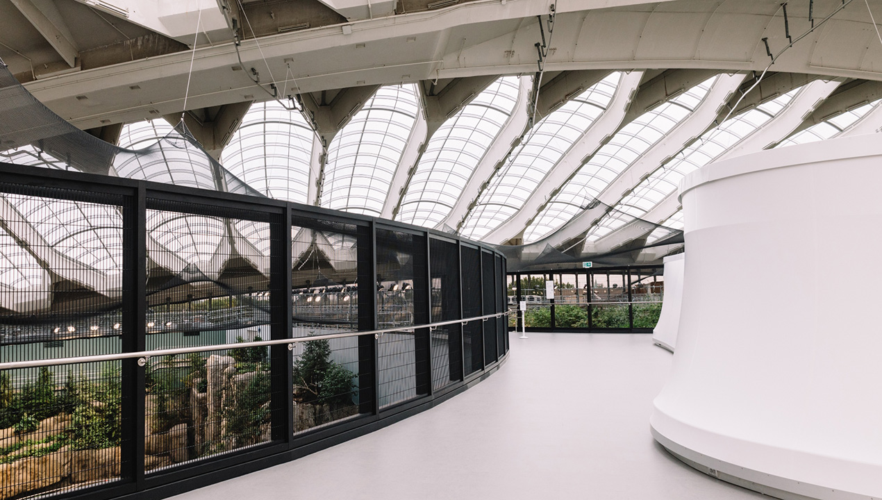 Explore nature at the Biodôme — Enjoy fall in Quebec