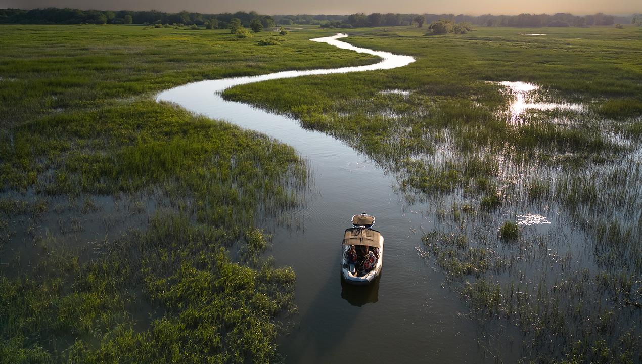 Discover the exceptional ecosystem of the Lake Saint-Pierre region at ...