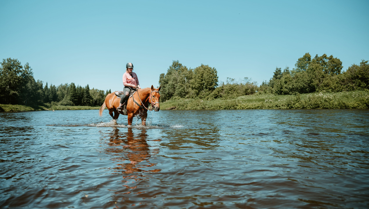 Experience authentic nature at Chalets Villégiature Pourvoirie Daaquam ...