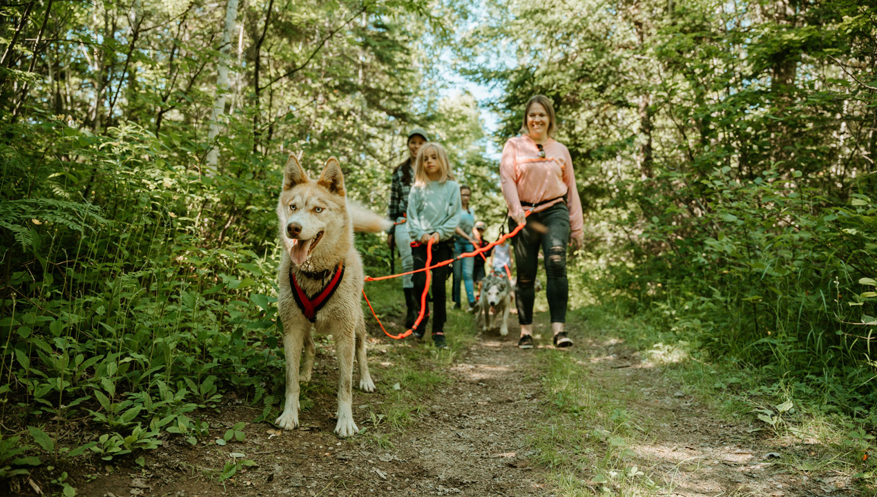 Experience authentic nature at Chalets Villégiature Pourvoirie Daaquam ...