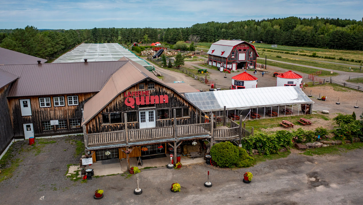Quinn Farm, a family farm for u-pick — Enjoy winter in Quebec