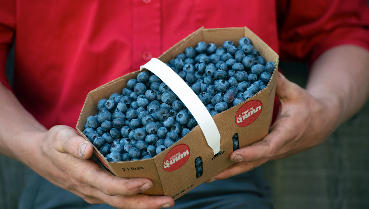 Quinn Farm, a family farm for u-pick — Enjoy winter in Quebec