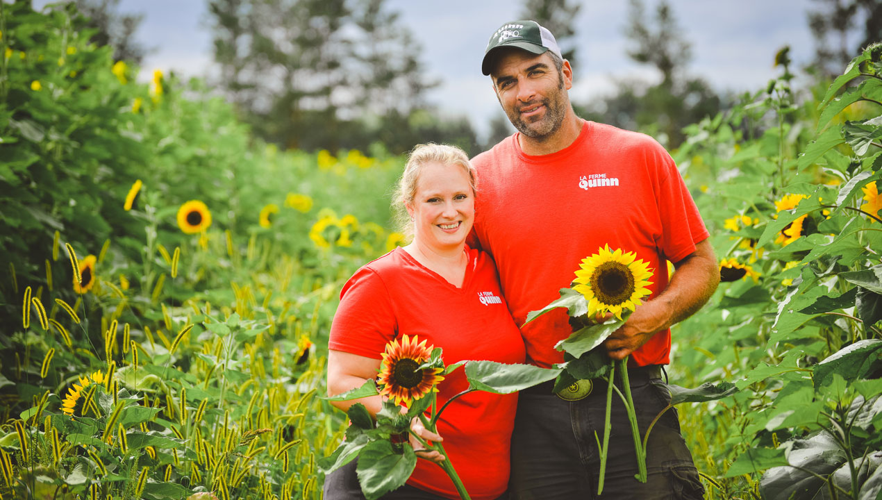 Quinn Farm, a family farm for u-pick — Enjoy winter in Quebec