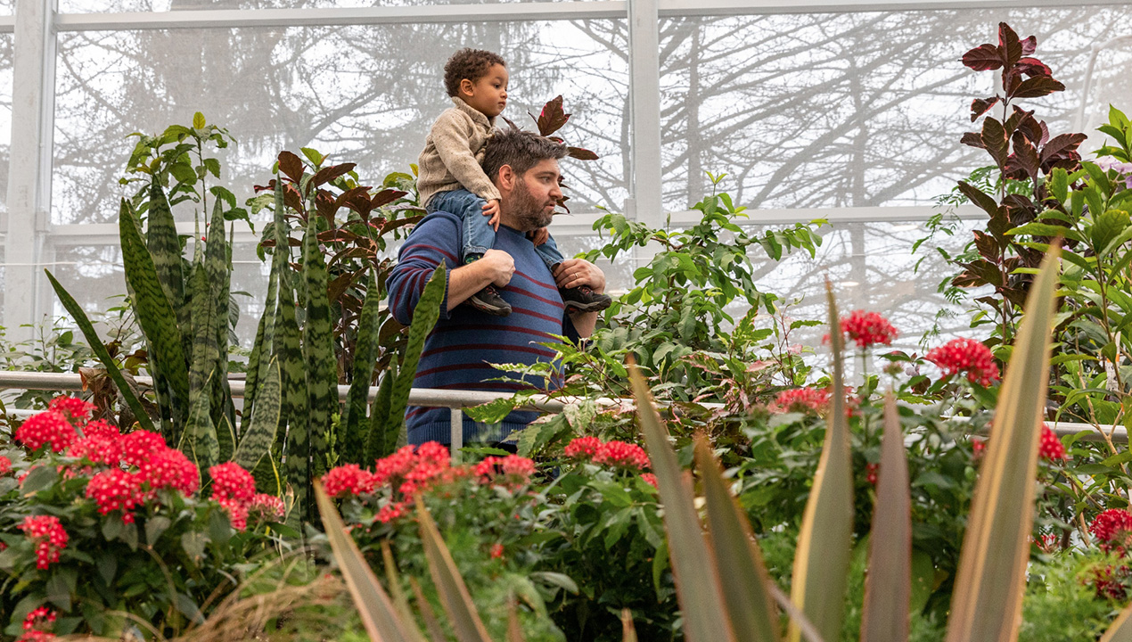 Discover a little-known world at the Insectarium — Enjoy summer in Quebec