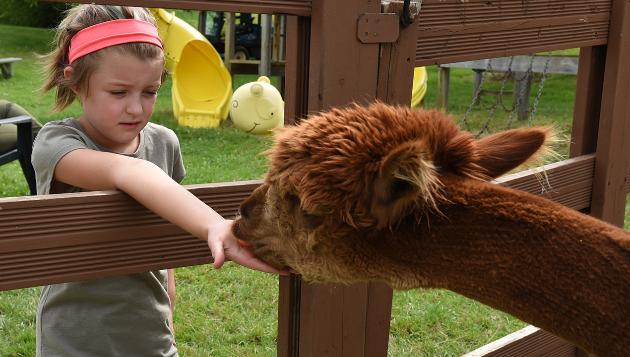 Step into a giant beehive at Miellerie Lune de Miel! — Enjoy winter in ...