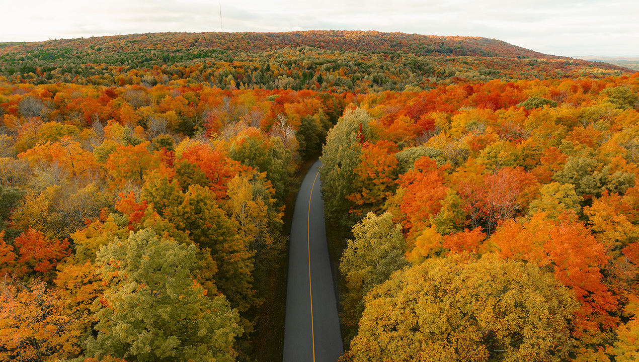 Square Old Chelsea: your feel-good place — Enjoy fall in Quebec