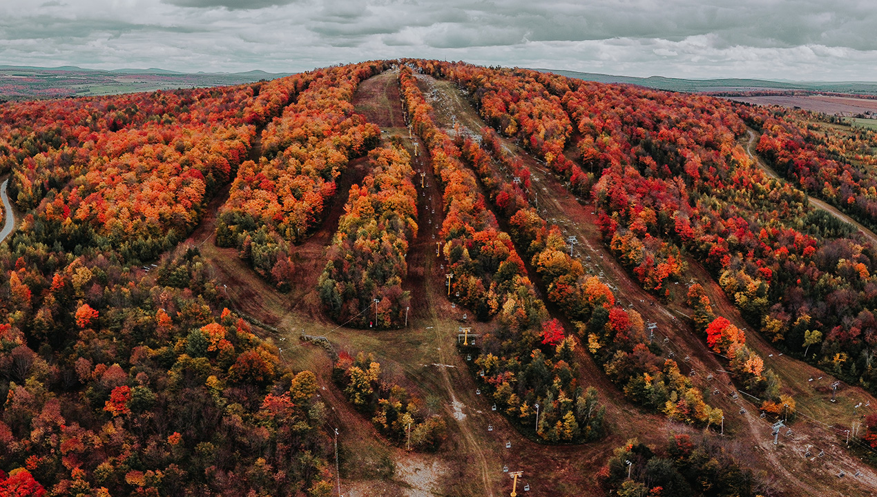 Happiness within reach in Victoriaville — Enjoy winter in Quebec