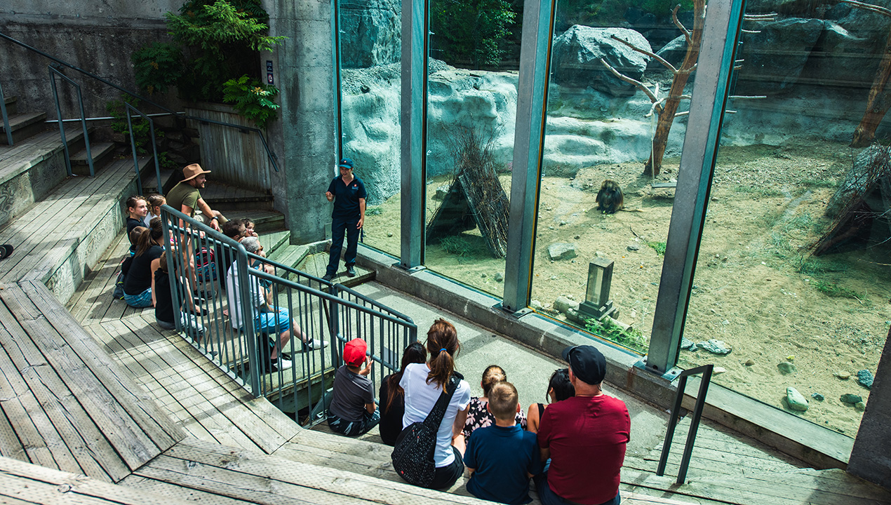 This summer, get your fill of nature at the Zoo sauvage de Saint ...