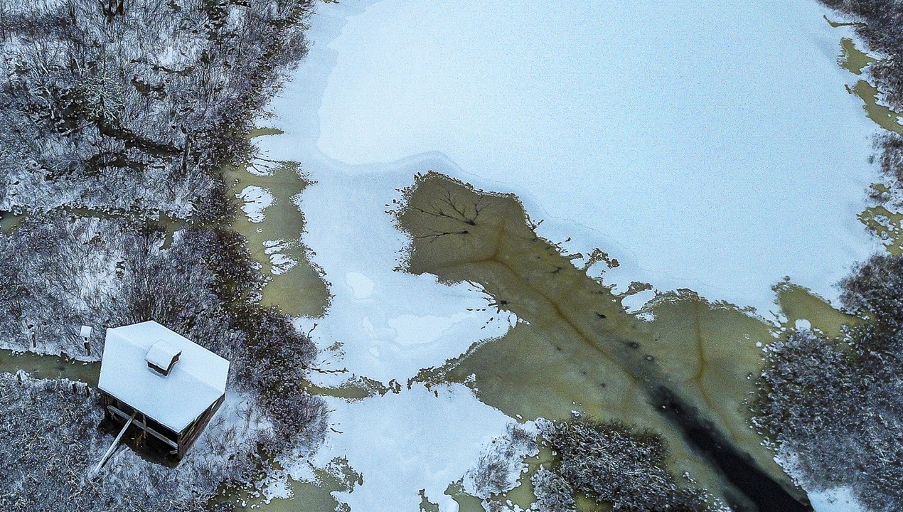 Nature, culture, and adventure: the Marsh’s perfect winter trio ...