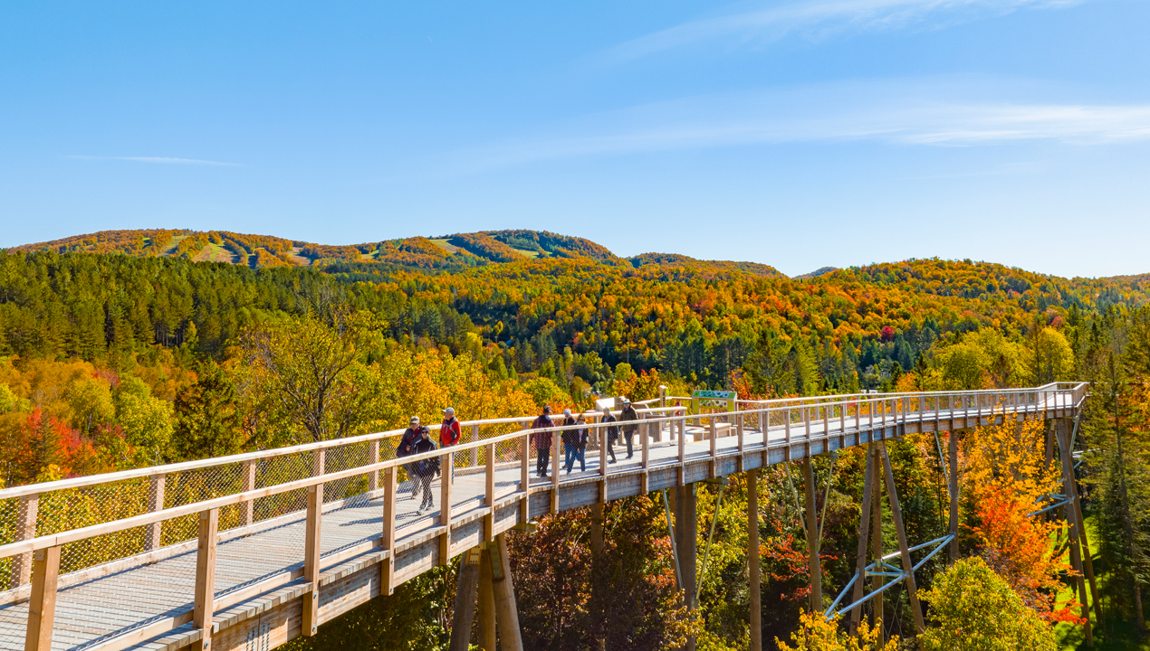 Experience the Color Odyssey at the Sentier des cimes Laurentides ...