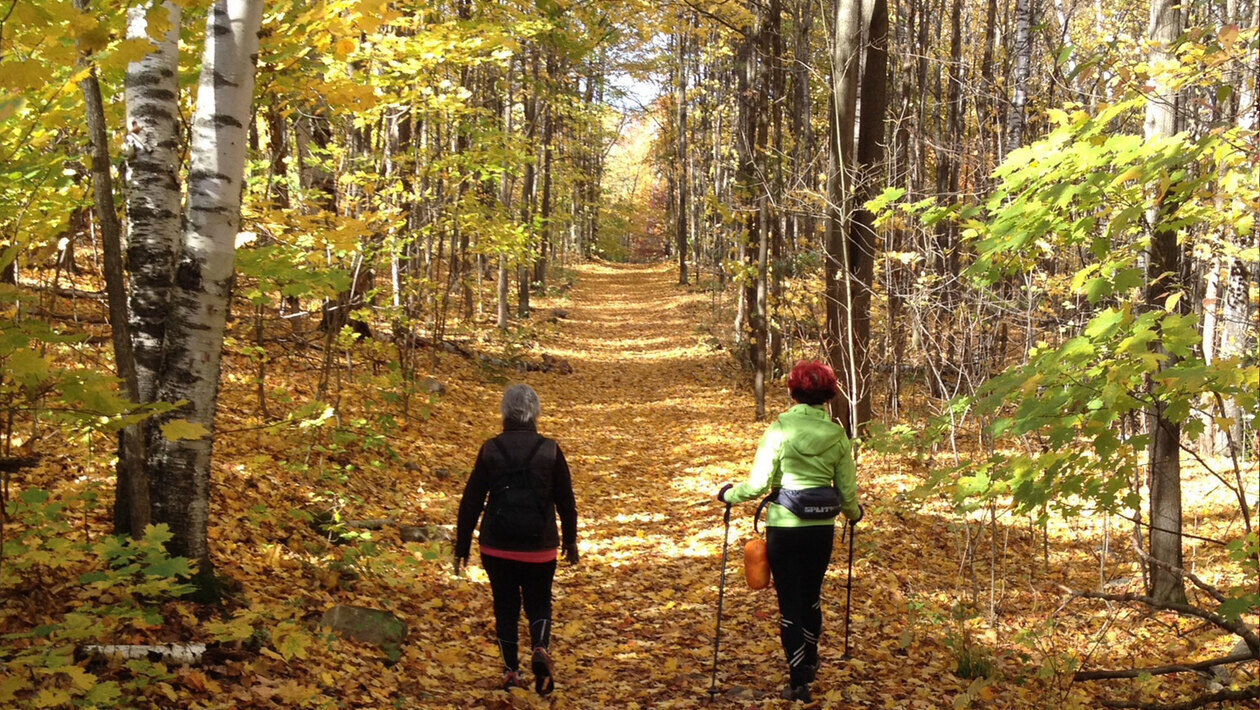 Nature and the outdoors — Enjoy fall in Quebec
